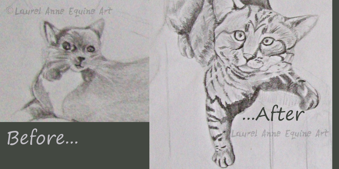 Cat Sketch Boot Camp: How To Get Better At Drawing And Draw Realistic ...